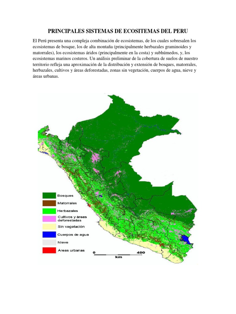 Los principales ecosistemas del Perú: una descripción de su diversidad ...