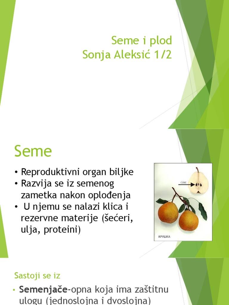Seme | PDF