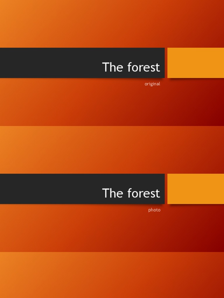The Forest | PDF