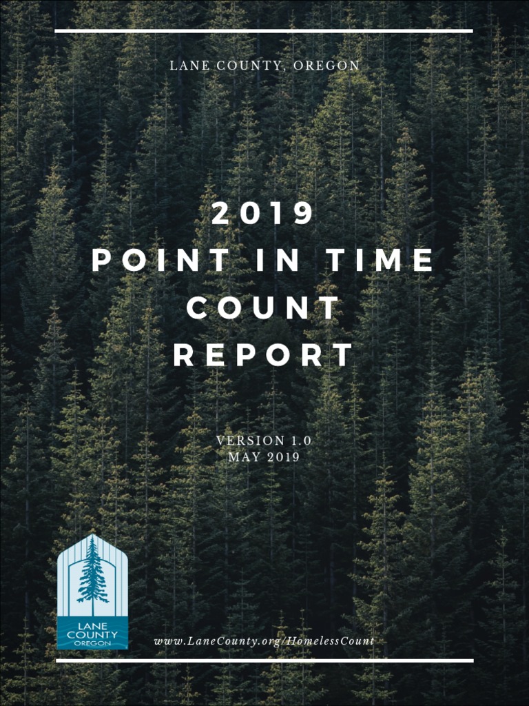 Final 2019 Point in Time Count Report Ver 1.0 | Download Free PDF ...