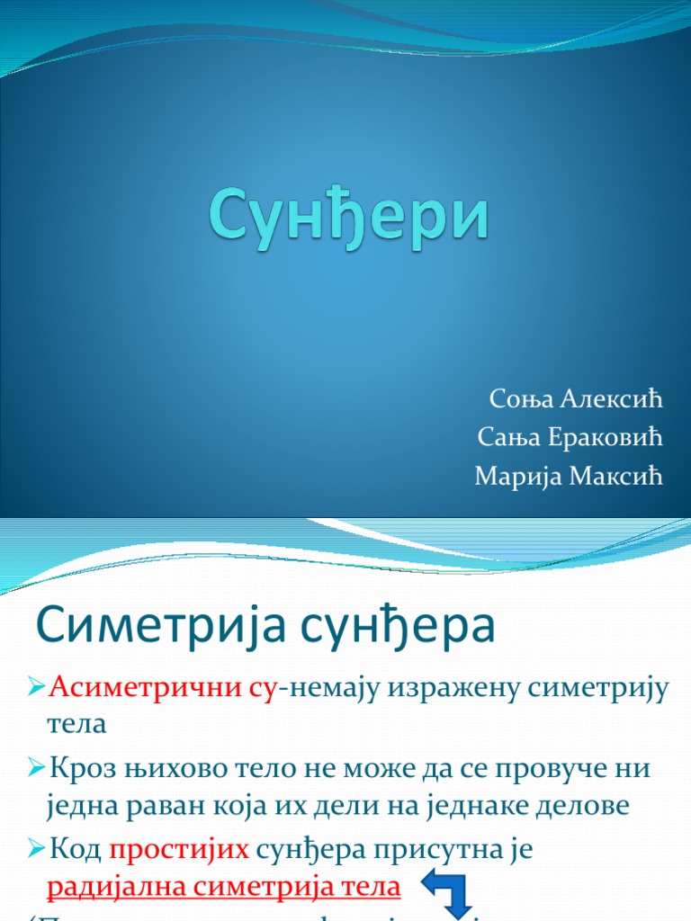 Sundjeri Prezentacija | PDF