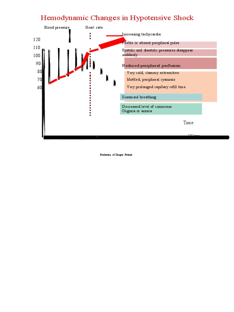Hemodynamic Changes in Hypotensive Shock: Lcs Lum | PDF