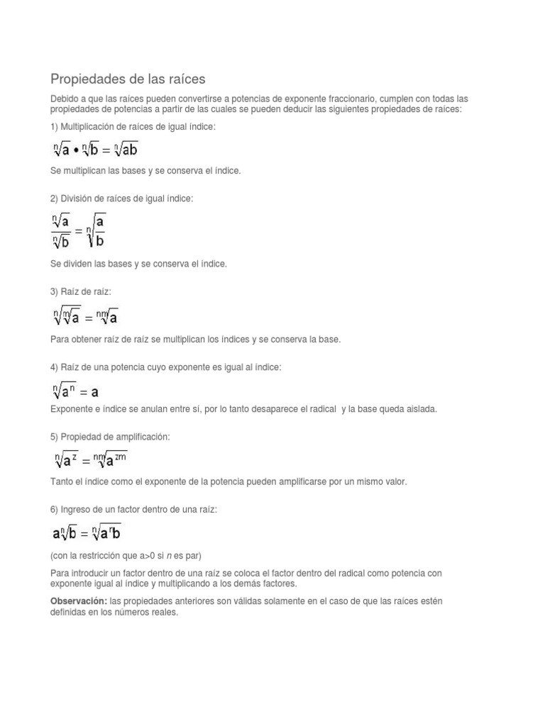 Propiedades de Las Raíces | PDF