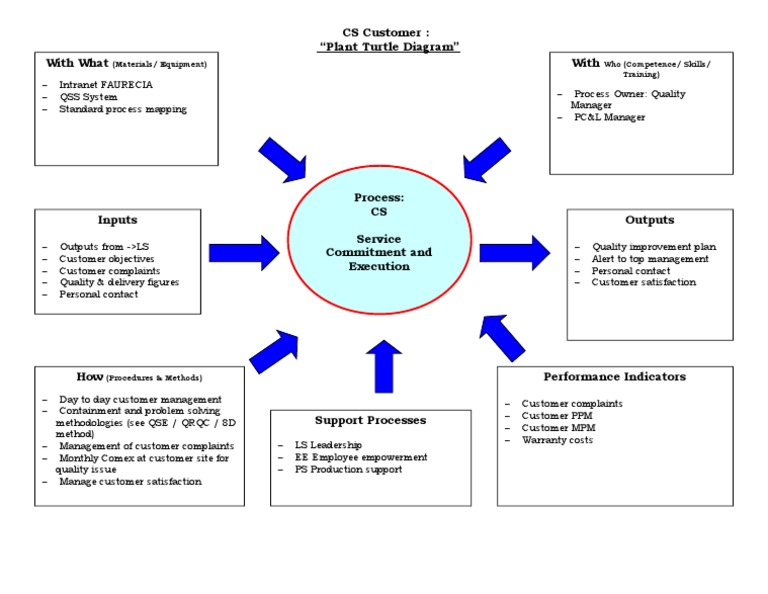 Turtle Diagram Template Free