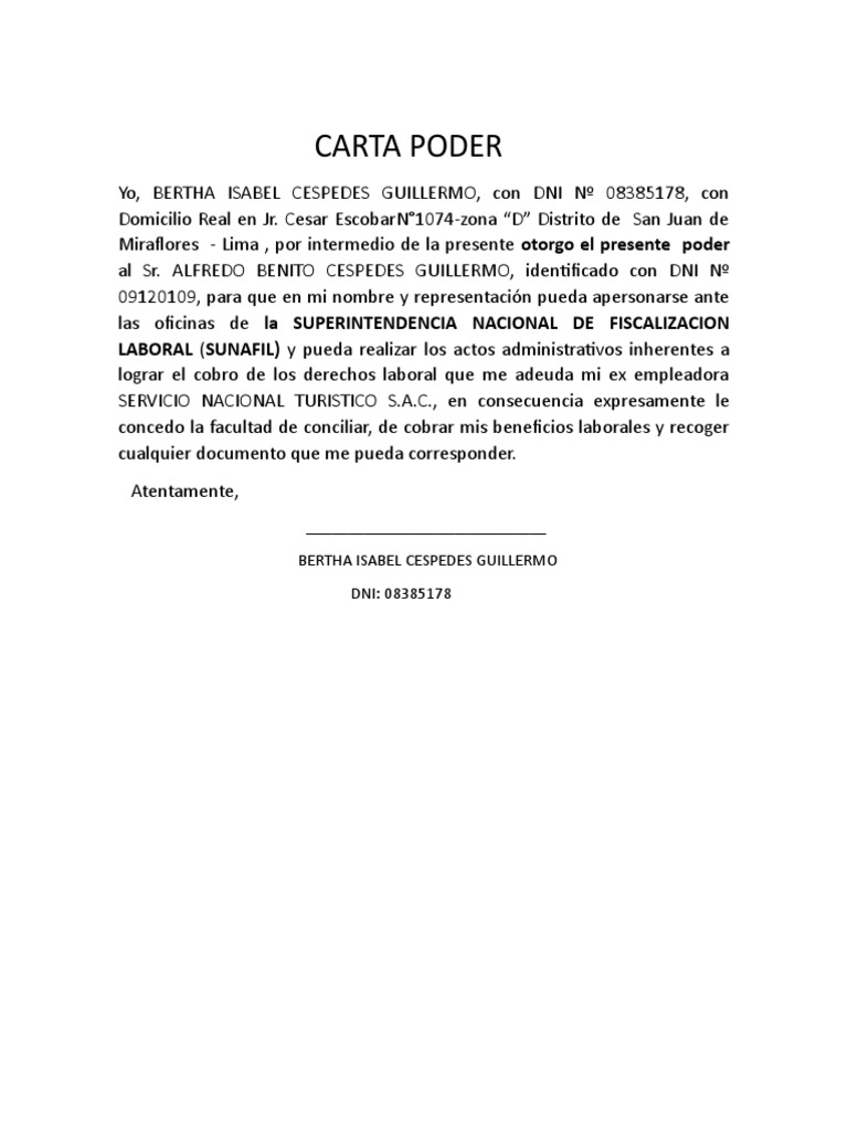 Carta Poder Sunafil | PDF