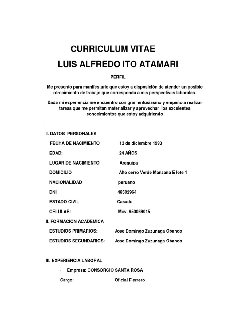Curriculum Luis Actualizado-2 - 1209 | PDF