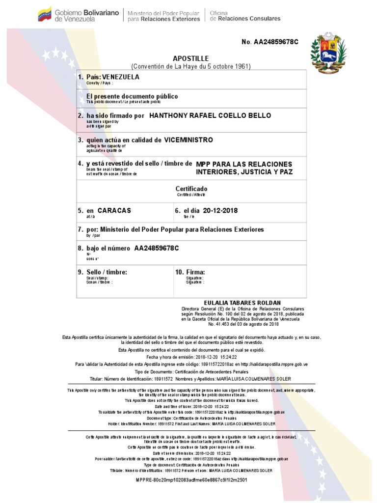Modelo Apostilla 1 EJEMPLO | PDF