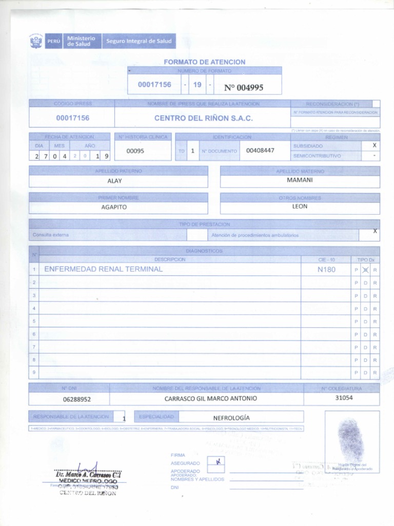 Consulta Sis - Susalud | PDF