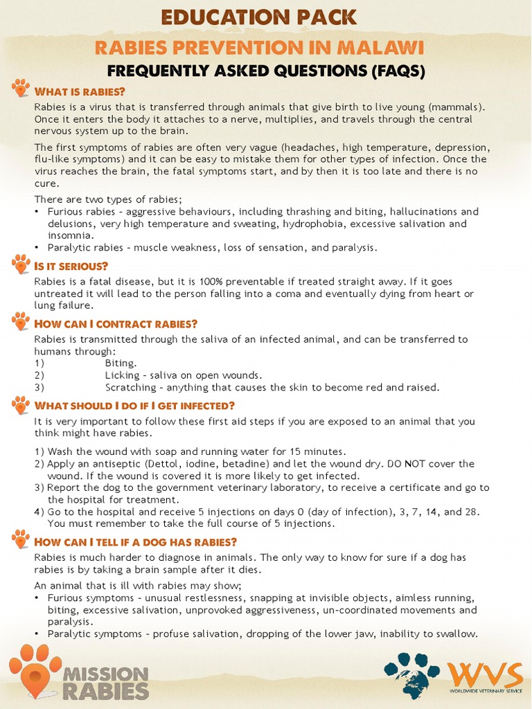 Lesson Plan Faqs | PDF | Rabies | Vaccination