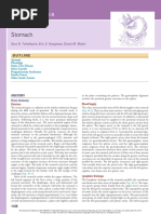 Segmentna Anatomija Jetre Na Ultrazvuku: Autori | PDF | Liver ...