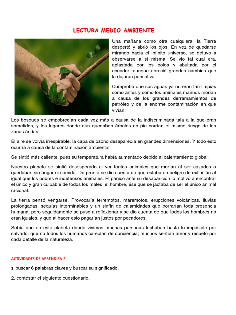 Lectura Medio Ambiente | PDF | Contaminación | Tierra
