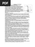 Teoria Sechenov, Bejterev, Pavlov | PDF | Sicología | Neurociencia