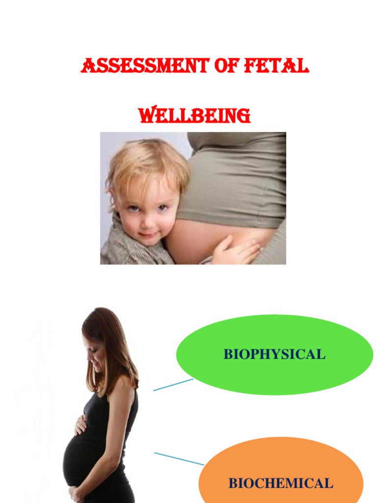 Basic Concepts, Development & Classification of Theory | PDF ...