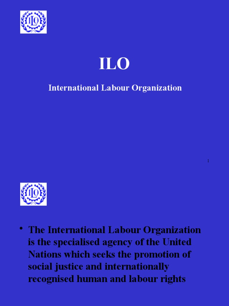International Labour Organization | PDF | International Labour ...