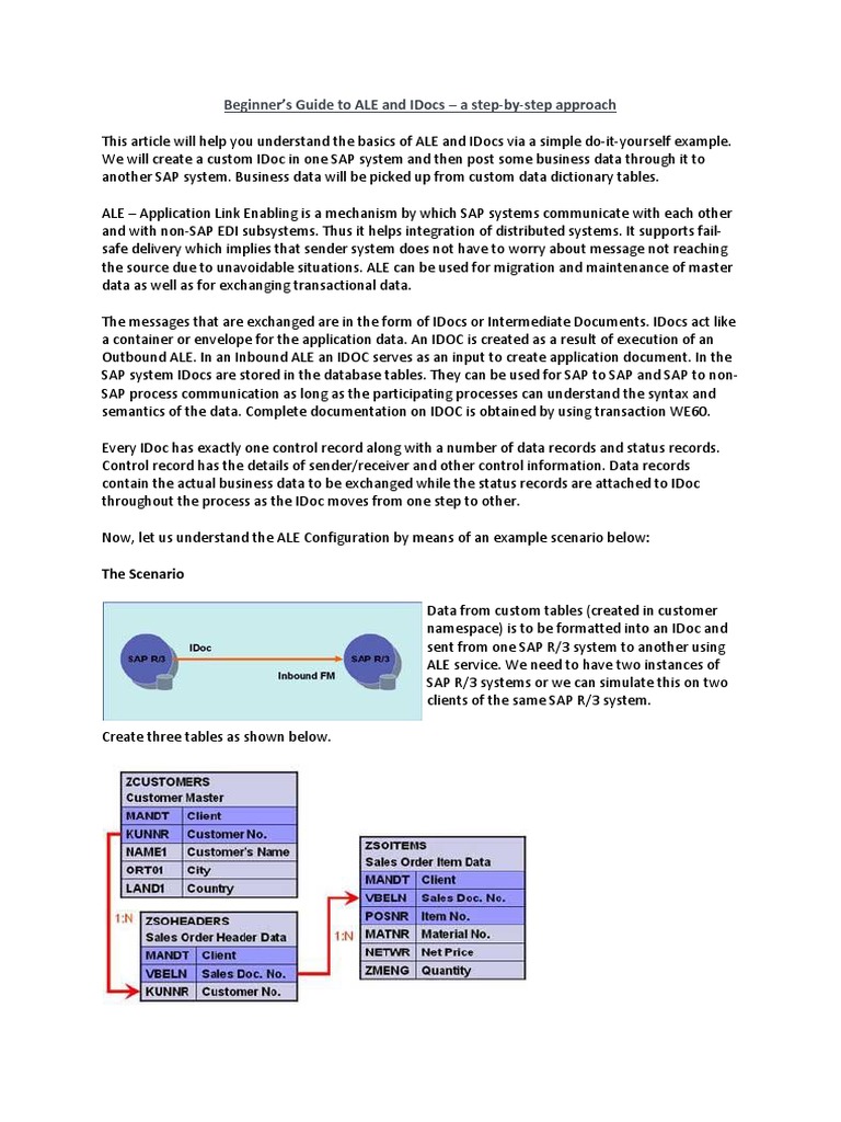 Sap Idoc Steps By Step Config Pdf Object Computer Science Database Transaction