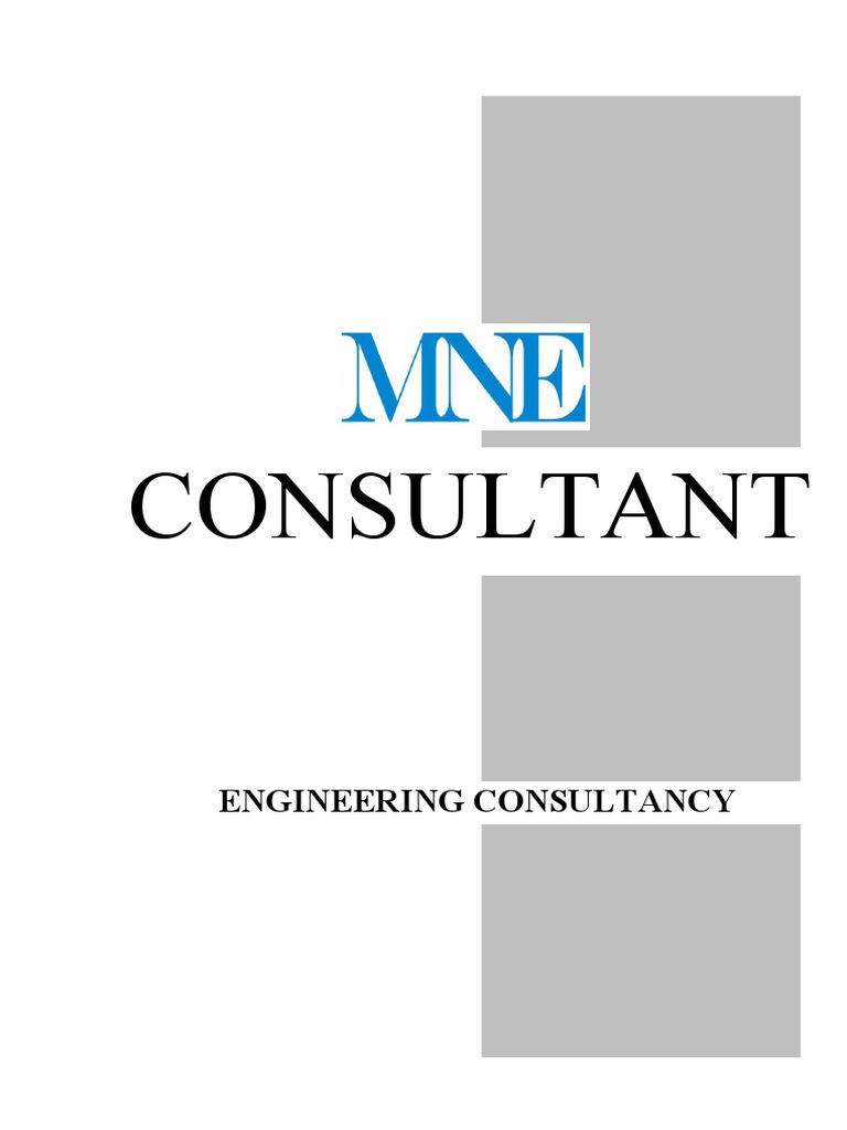 MNE | PDF | Buildings And Structures | Business