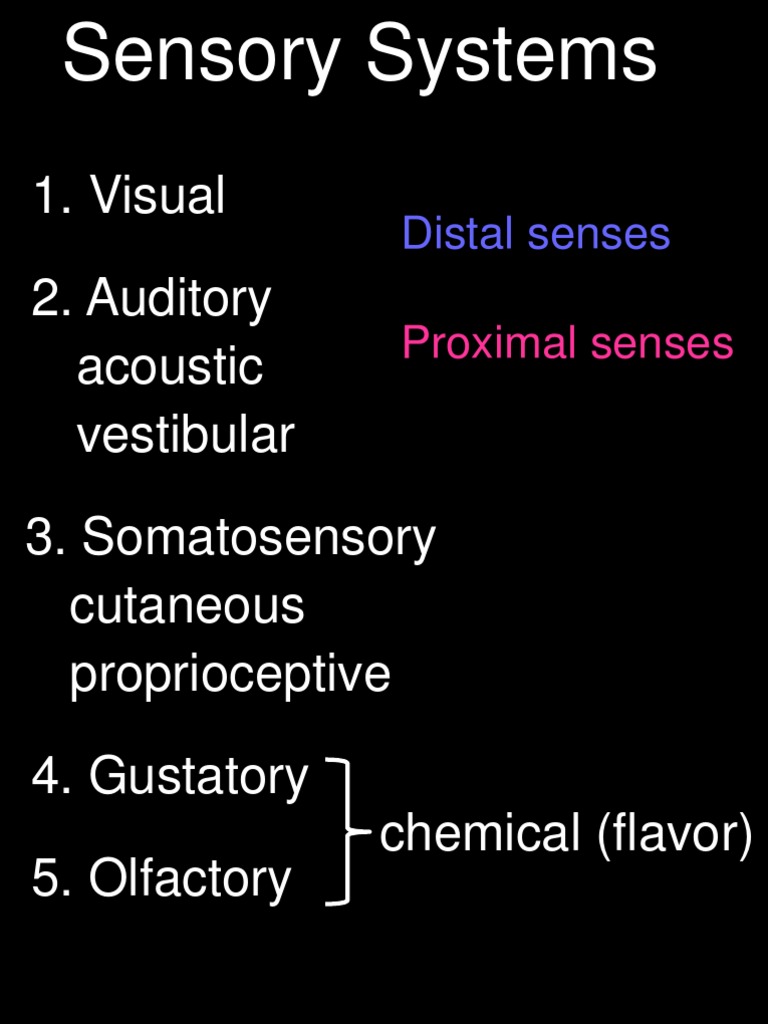 Visual 2. Auditory Acoustic Vestibular: Sensory Systems | PDF ...