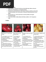 Onion Production Guide PDF | PDF | Onion | Tillage