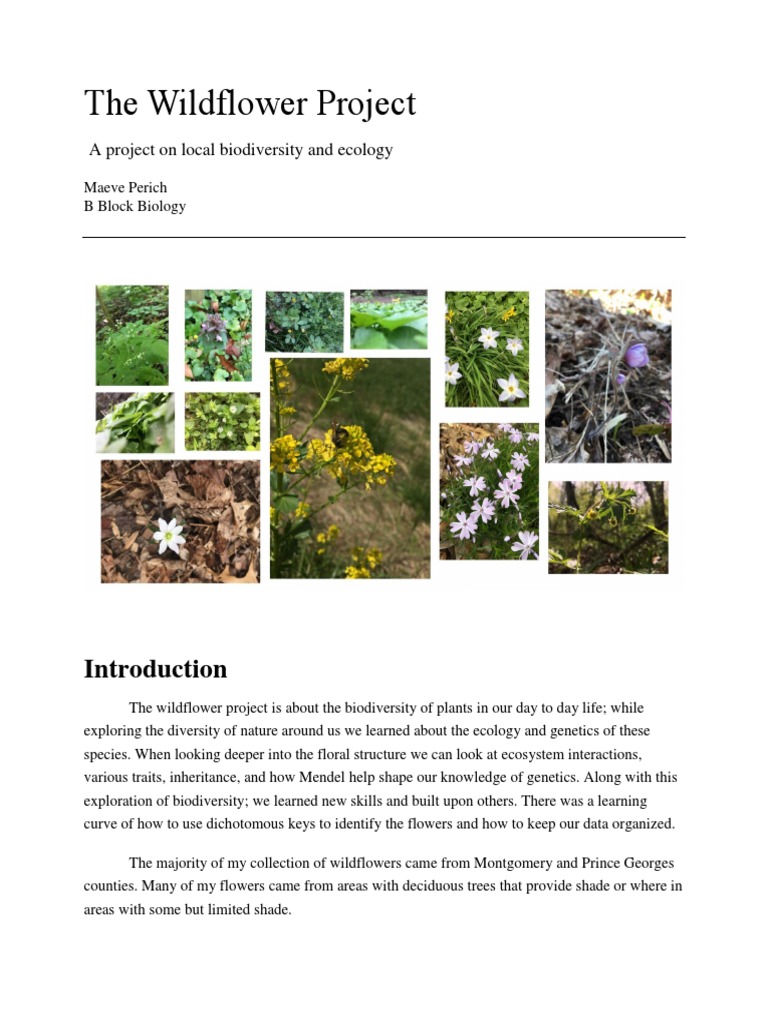 The Wildflower Project Lab Report | PDF | Flowers | Biodiversity