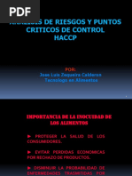 Mapa Conceptual | PDF | Análisis de Riesgo y Puntos Críticos de Control ...