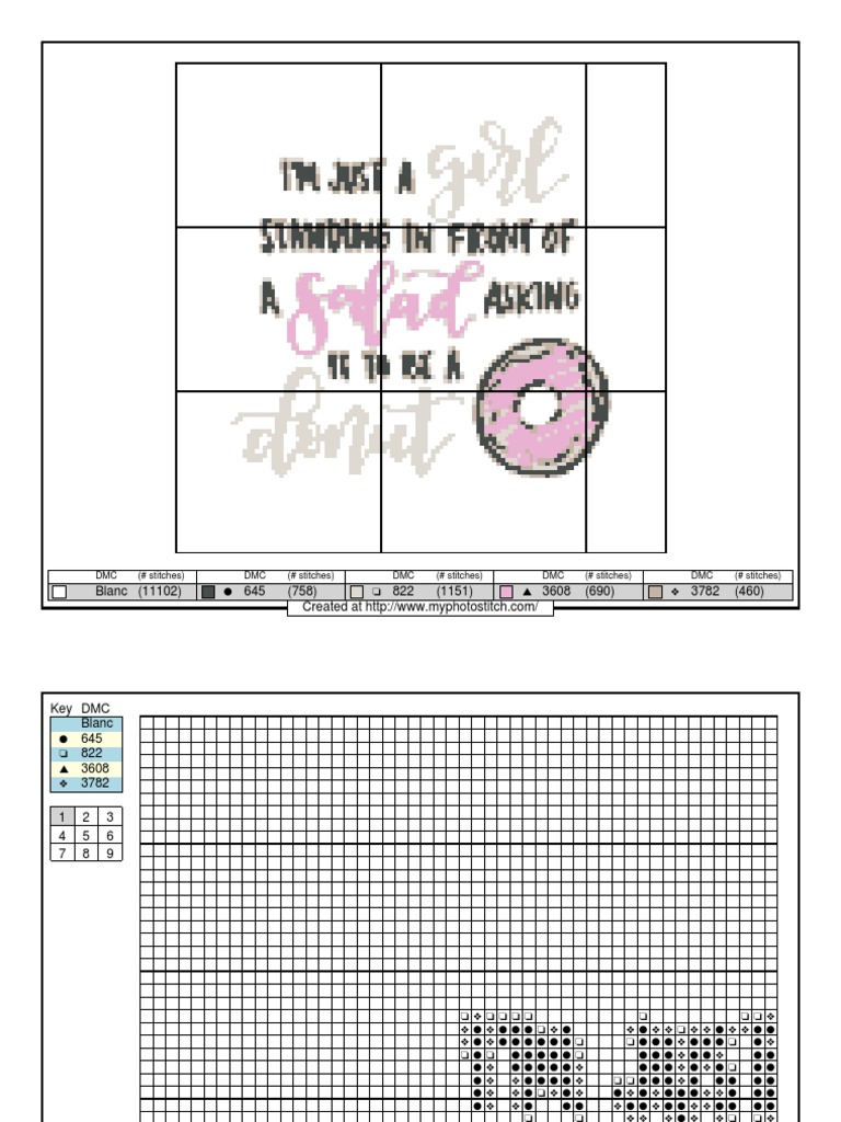 Key and Instructions for Photostitch Pattern with DMC Thread Colors | PDF