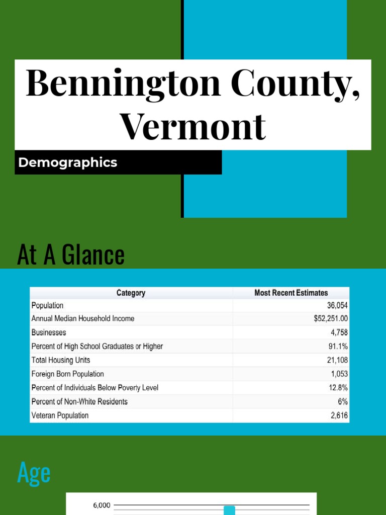 Bennington County Demographics & Marketing Insights | PDF | Economies