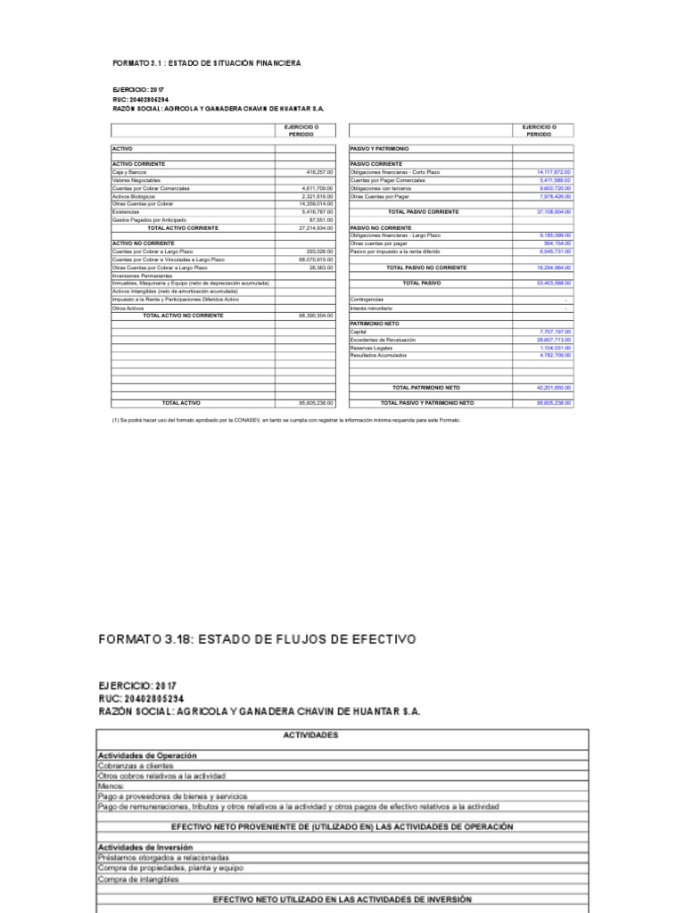 Informe Financiero 2017 | PDF | Amortización (Negocio) | Activo fijo