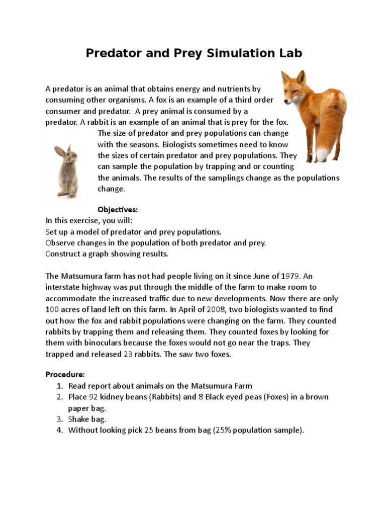 Fox and Rabbit Population Lab | PDF | Fox | Predation