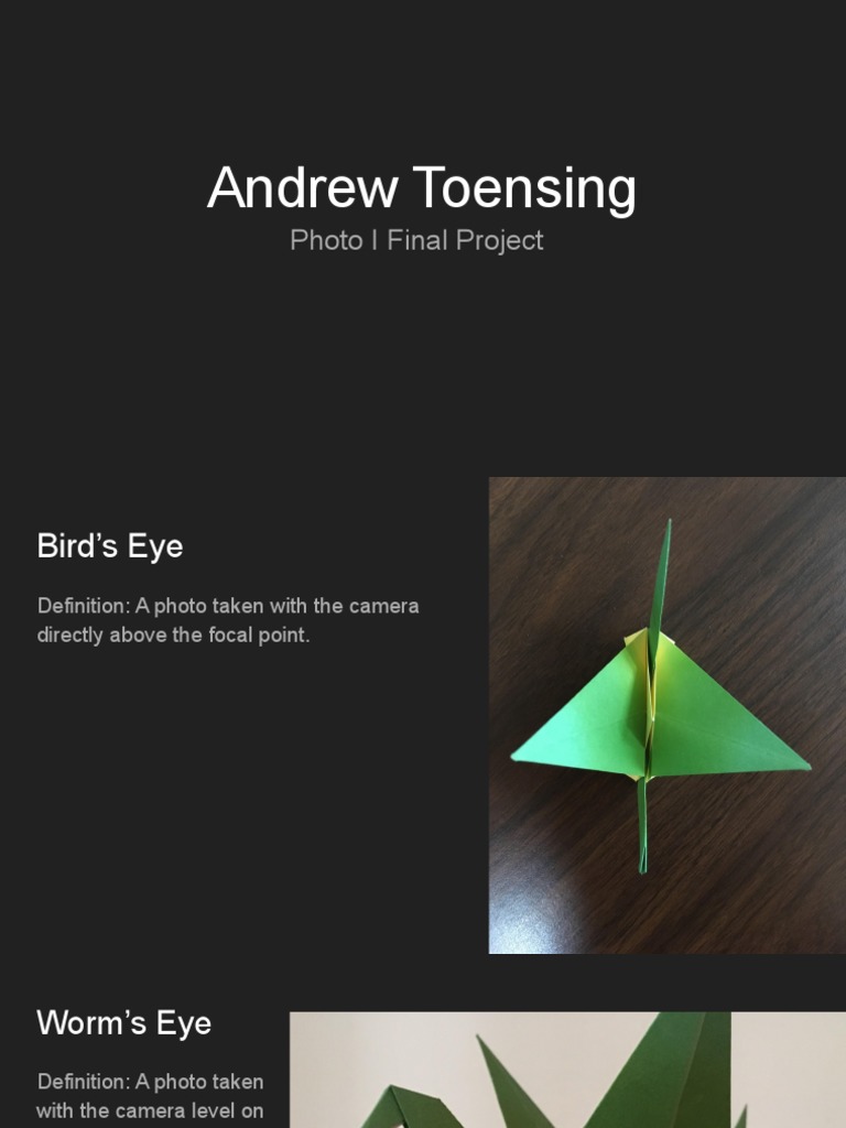Photo I Final - Andrew Toensing | PDF | History