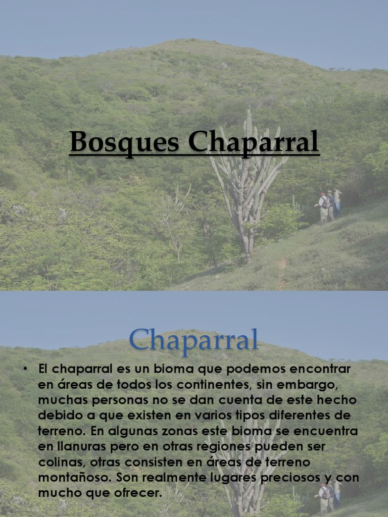 Características del Bioma Chaparral | PDF | Geografía Física | Ciencias ...