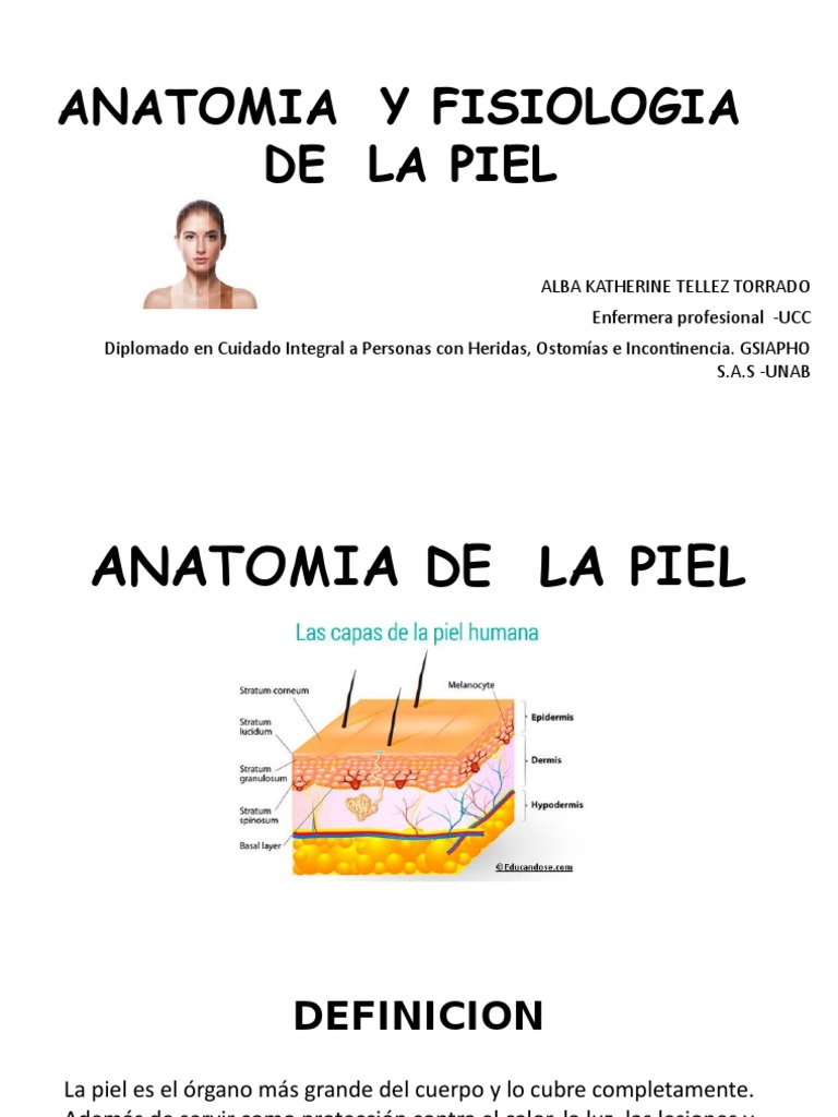 Anatomia Y Fisiologia De Piel Pdf Epidermis Piel