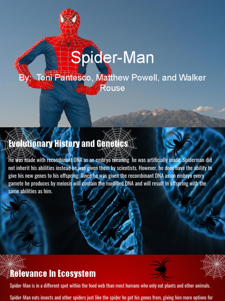Ap Bio The Real Spiderman | PDF | Spider | Gene
