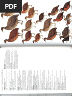 Guía de Las Aves de Colombia - Hilty & Brown | PDF
