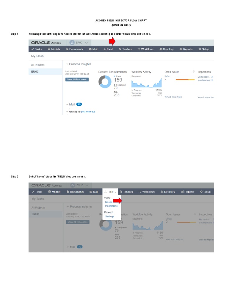Field Flow Chart | PDF