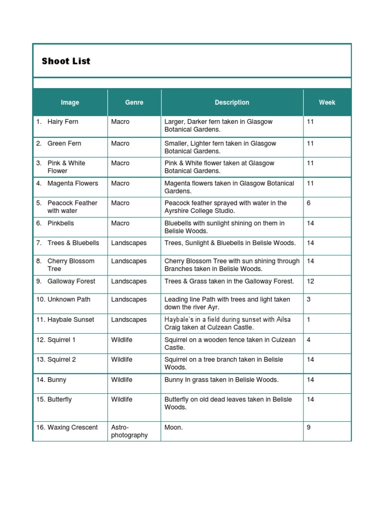 Shoot List | PDF