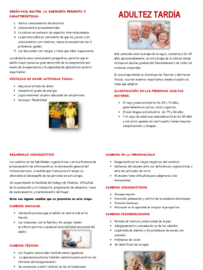 Adultez Tardía | PDF | Adultos | Vejez