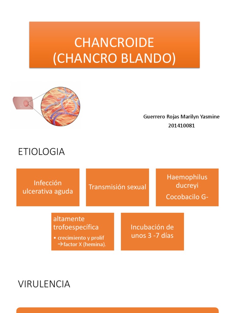 Expo Chancroide | PDF | Salud pública | Especialidades Medicas