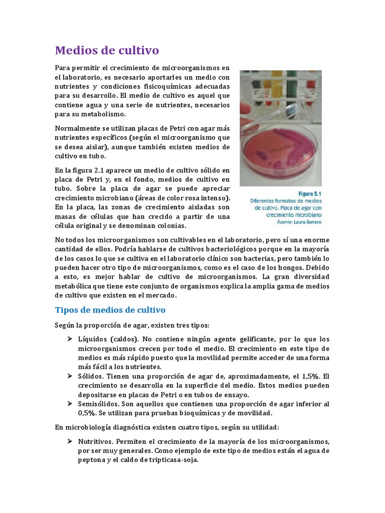 Tipos de Medios de Cultivo | PDF | Organismos | Microscopía