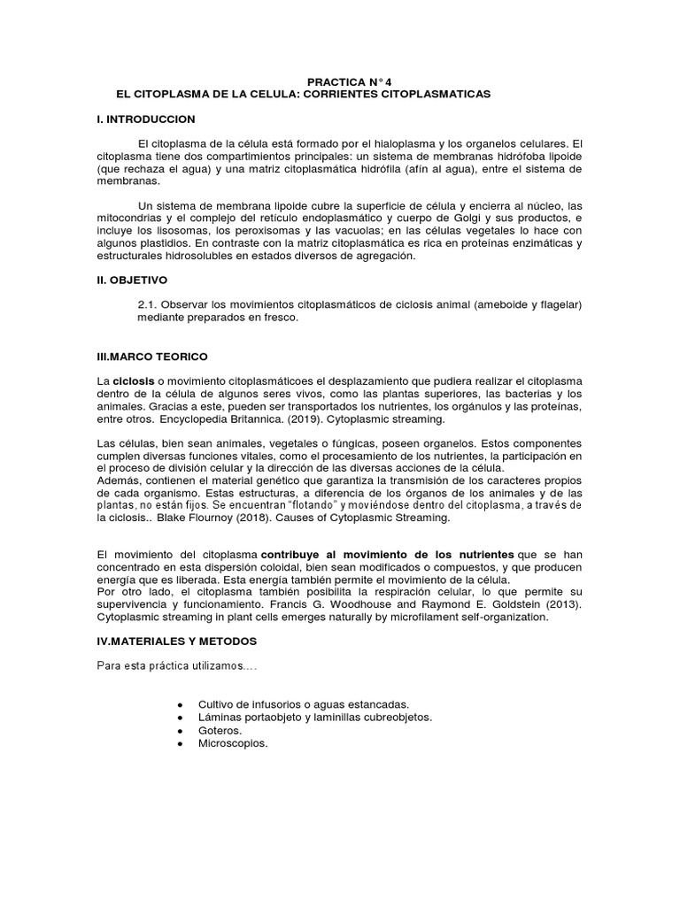 Practica Ciclosis | PDF | Citoplasma | Biología Celular)
