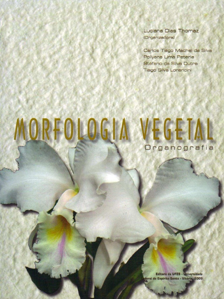 Livro - Morfologia Vegetal - Organografia | PDF