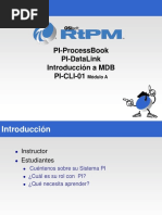 PI Process Book Capacitacion | PDF