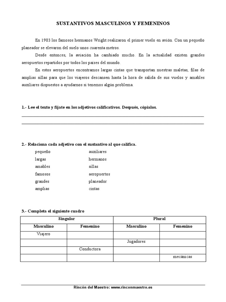 Singular y plural en sustantivos y adjetivos | PDF | Adjetivo | Plural