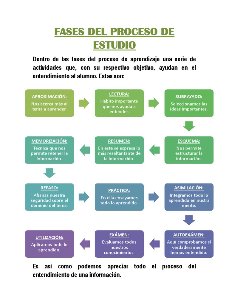Fases Del Proceso de Estudio | Aprendizaje | Prueba (evaluación)