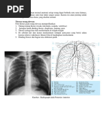 Anatomi Thorax Normal + Gambaran Radiologi | PDF