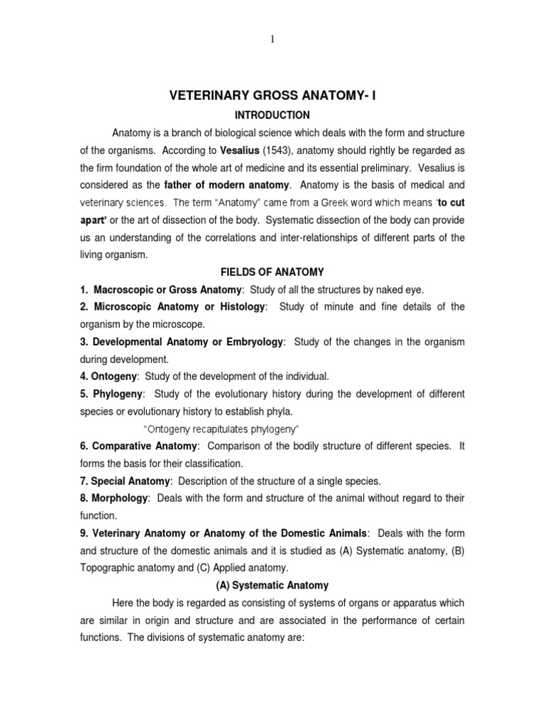 1 Osteology | PDF | Elbow | Anatomical Terms Of Location