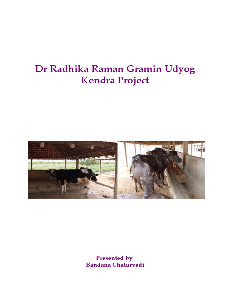 100 Cows PROJECT REPORT FOR DAIRY FARMING | PDF | Calf | Dairy