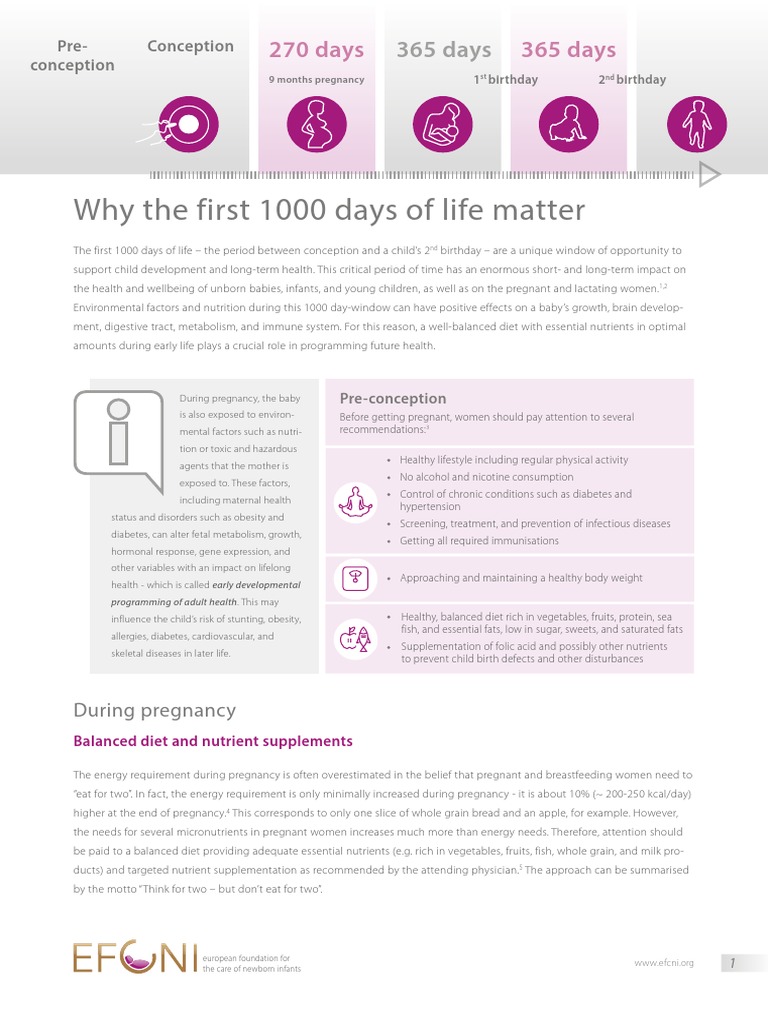 2018 04 23 EFCNI 1000tage Factsheet Web PDF | PDF | Breastfeeding ...