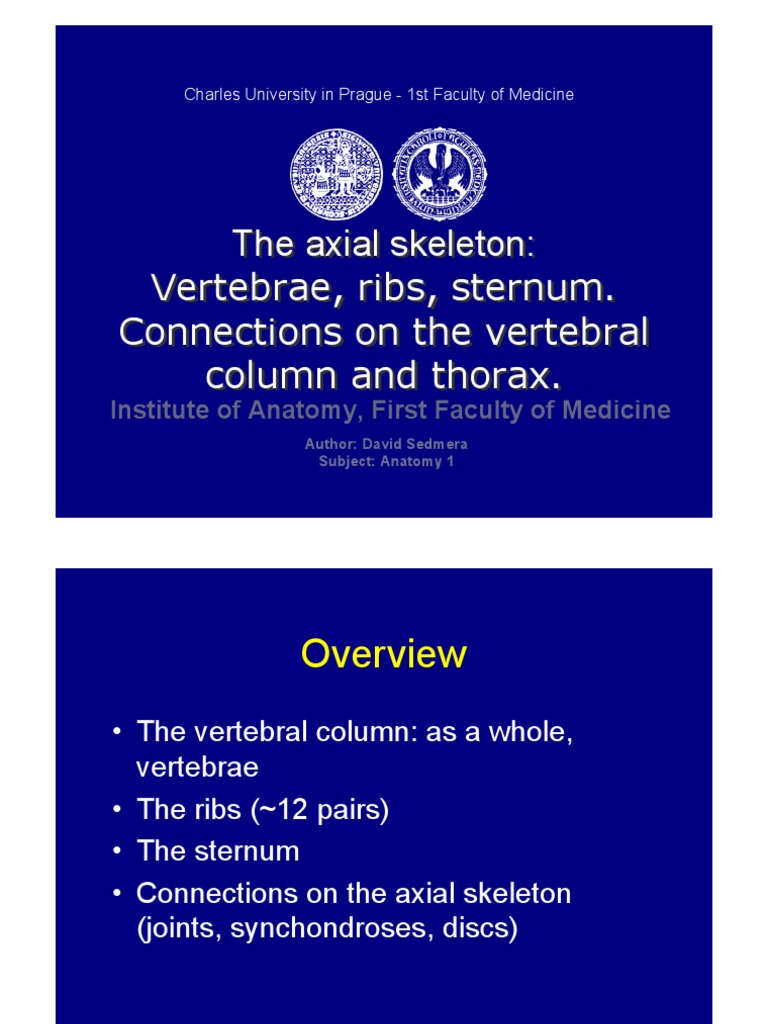 The Axial Skeleton: Vertebrae, Ribs, Sternum. Connections On The Vertebral Column and Thorax ...