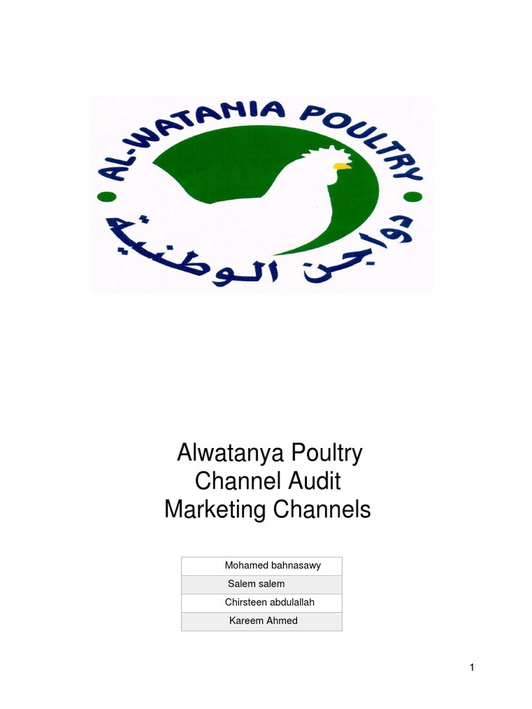 Alwatanya - Channel - Audit - Marketing - Channels 1 | PDF | Retail ...