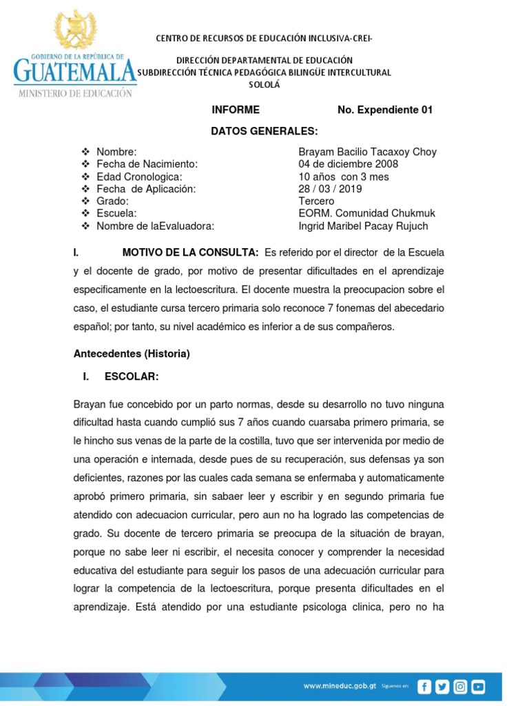 Informe de La Prueba Vmi Brayan | PDF | Cociente de inteligencia | Aprendizaje